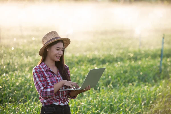 Roteador Wi-Fi Rural de Longo Alcance para Áreas Rurais
